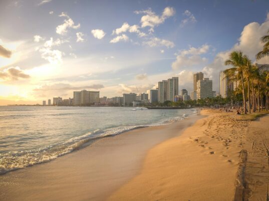 A Guide to Hawaii Tax Forms